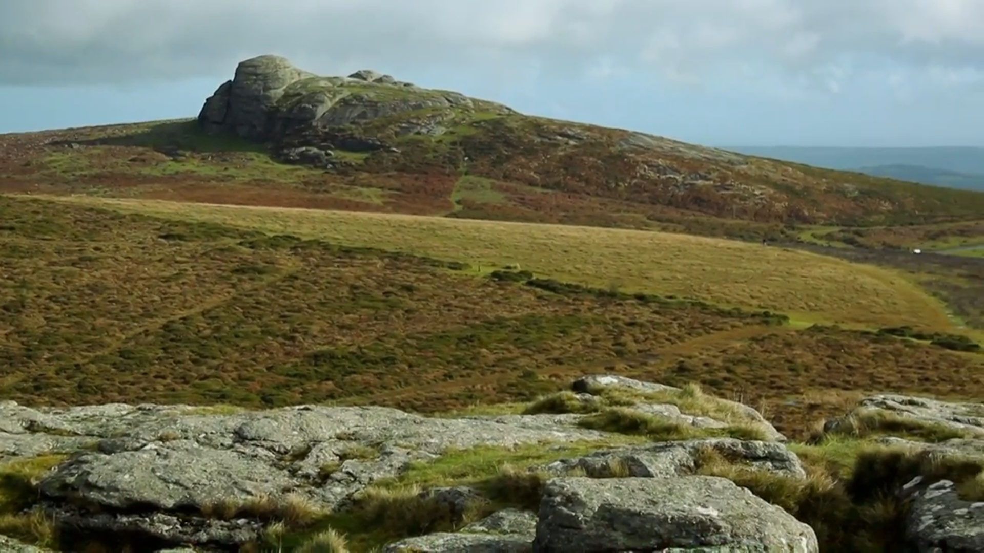 Summit or Nothing - GETTING LOST IN A FERN FOREST