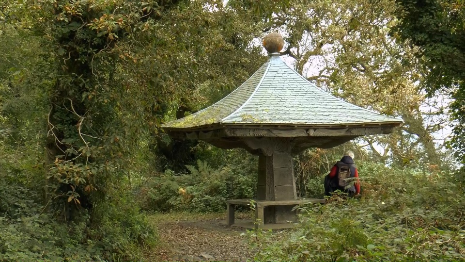 Summit or Nothing - Clovelly Circular Walk